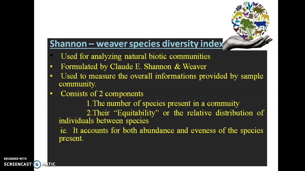 simpson & shannon diversity index - YouTube