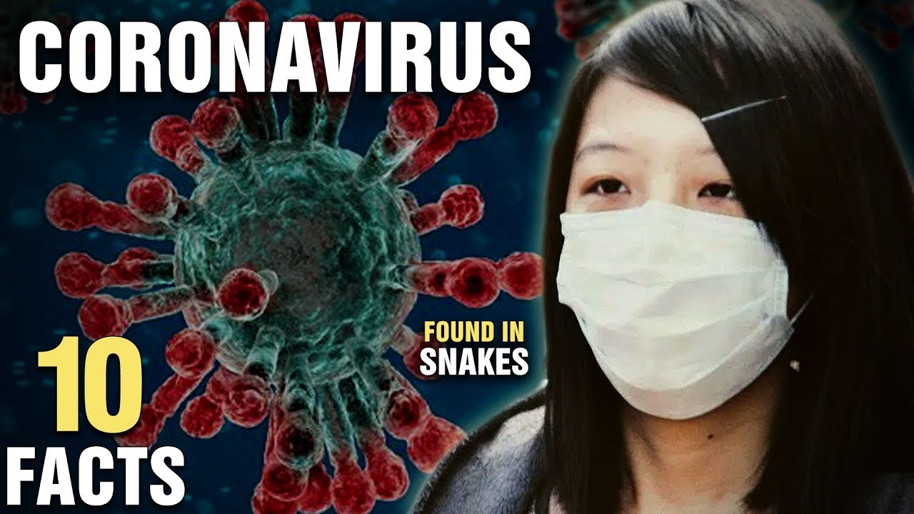 10 Surprising Facts About The Coronavirus - YouTube