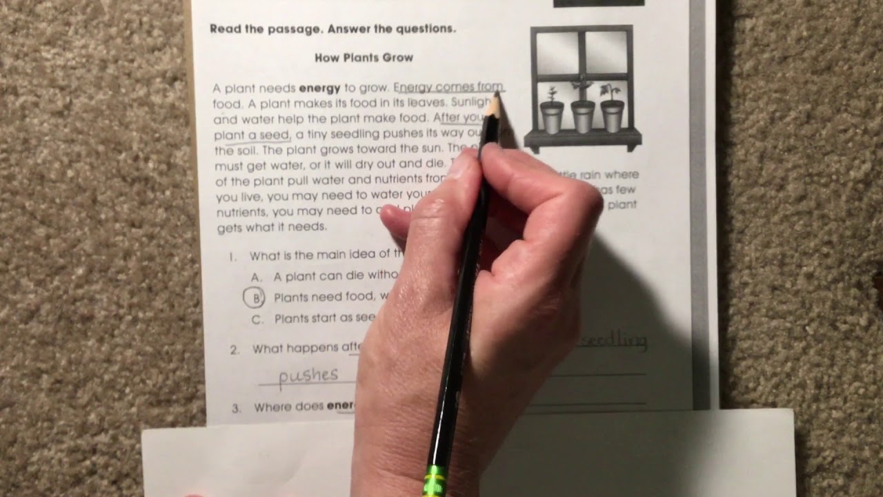 “Summer School” 2020 ESY - YouTube