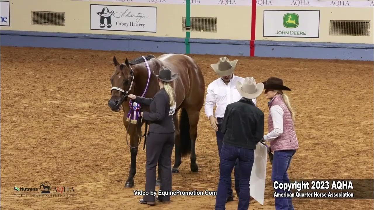 2023 AQHA World Championship Show Amateur Aged Geldings - YouTube