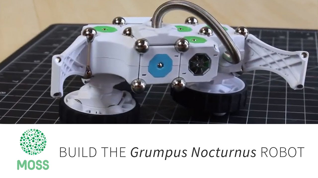 MOSS - Robot #1581 | Grumpus Nocturnus - YouTube