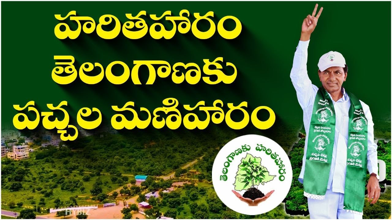 Special Story On Haritha Haram Programme Implementation || Telangana ...