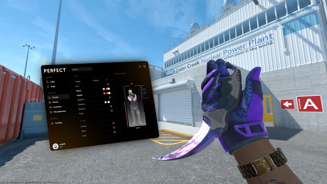 MELHOR HACK COMPLETO PARA CS2 COM RAGEBOT FUNCIONANDO 2025 - YouTube