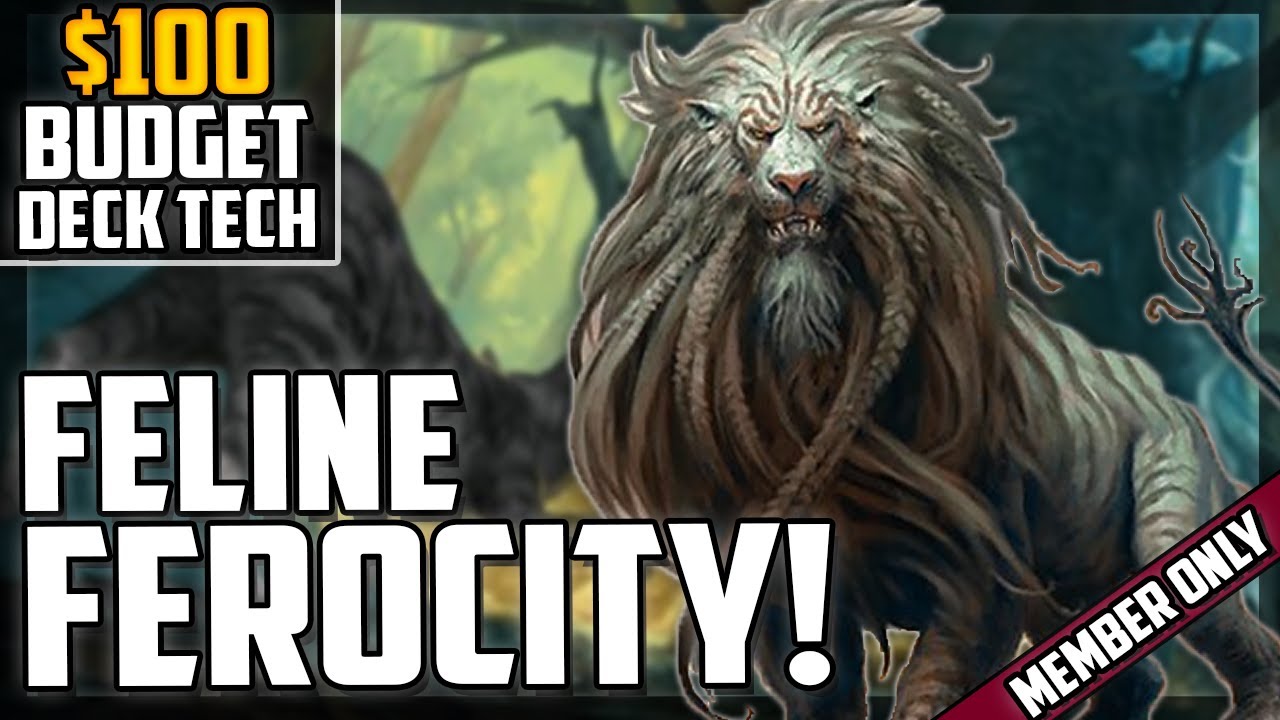 Feline Ferocity: Budget Mono-White Cats Deck! - Magic: The Gathering ...