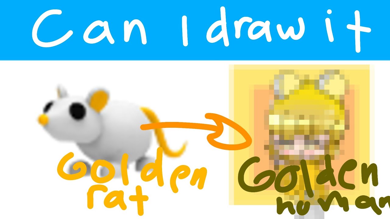 Golden rat adopt me to... Golden player adopt me 😂 | ibis paint ...