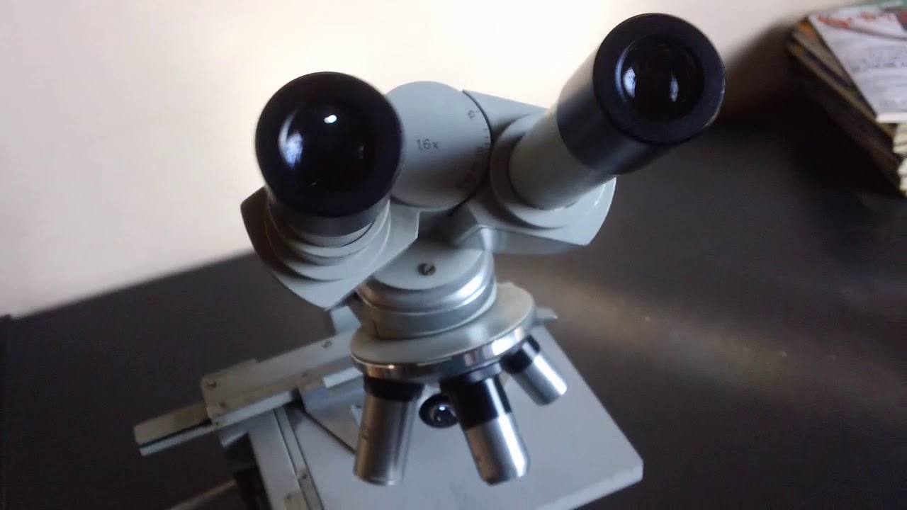 Microscópio Zeiss Laboval - YouTube