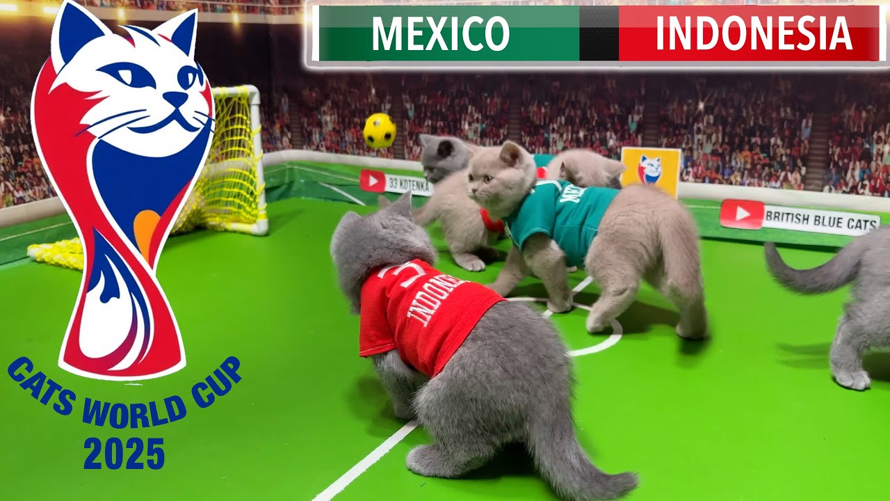 Cat Football World Cup 2025 🐱⚽ | Mexico vs Indonesia 🏆 | Game 2 ...