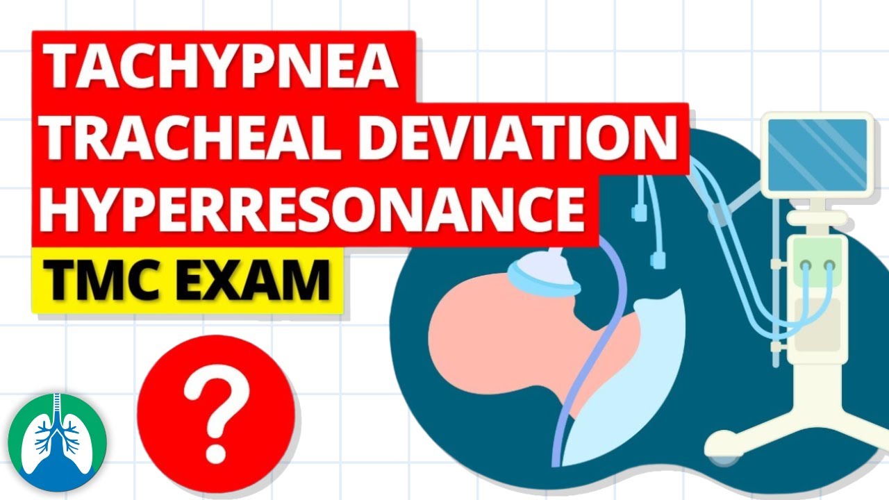 Tachypnea, Tracheal Deviation, and Hyperresonance? (TMC Practice Question) - YouTube