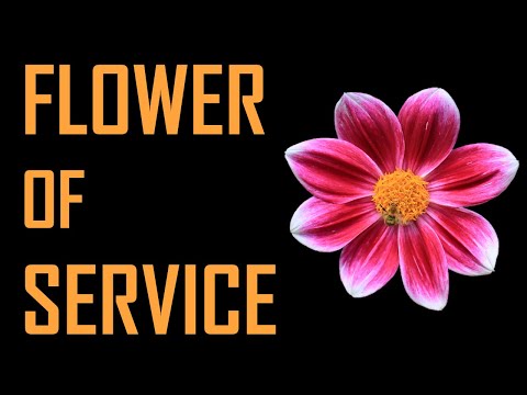 Flower Concept In Service Marketing | Best Flower Site