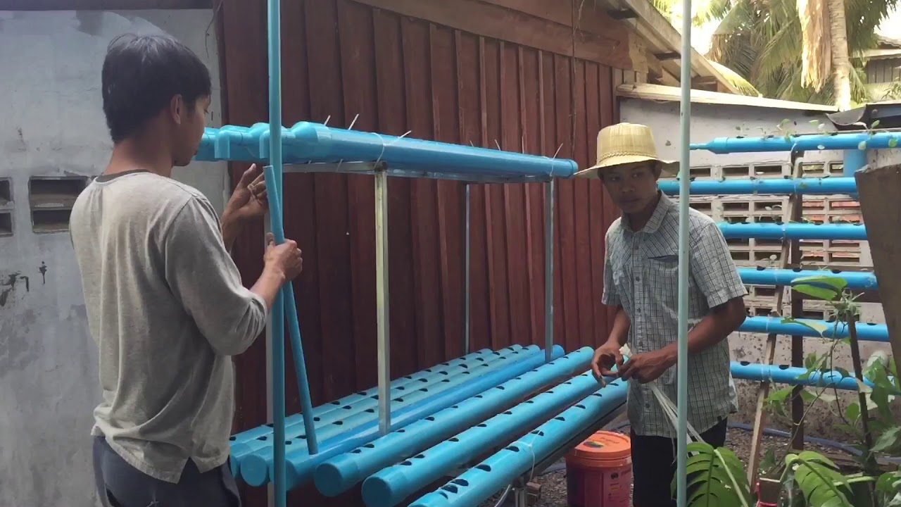 Hydroponic installation - YouTube