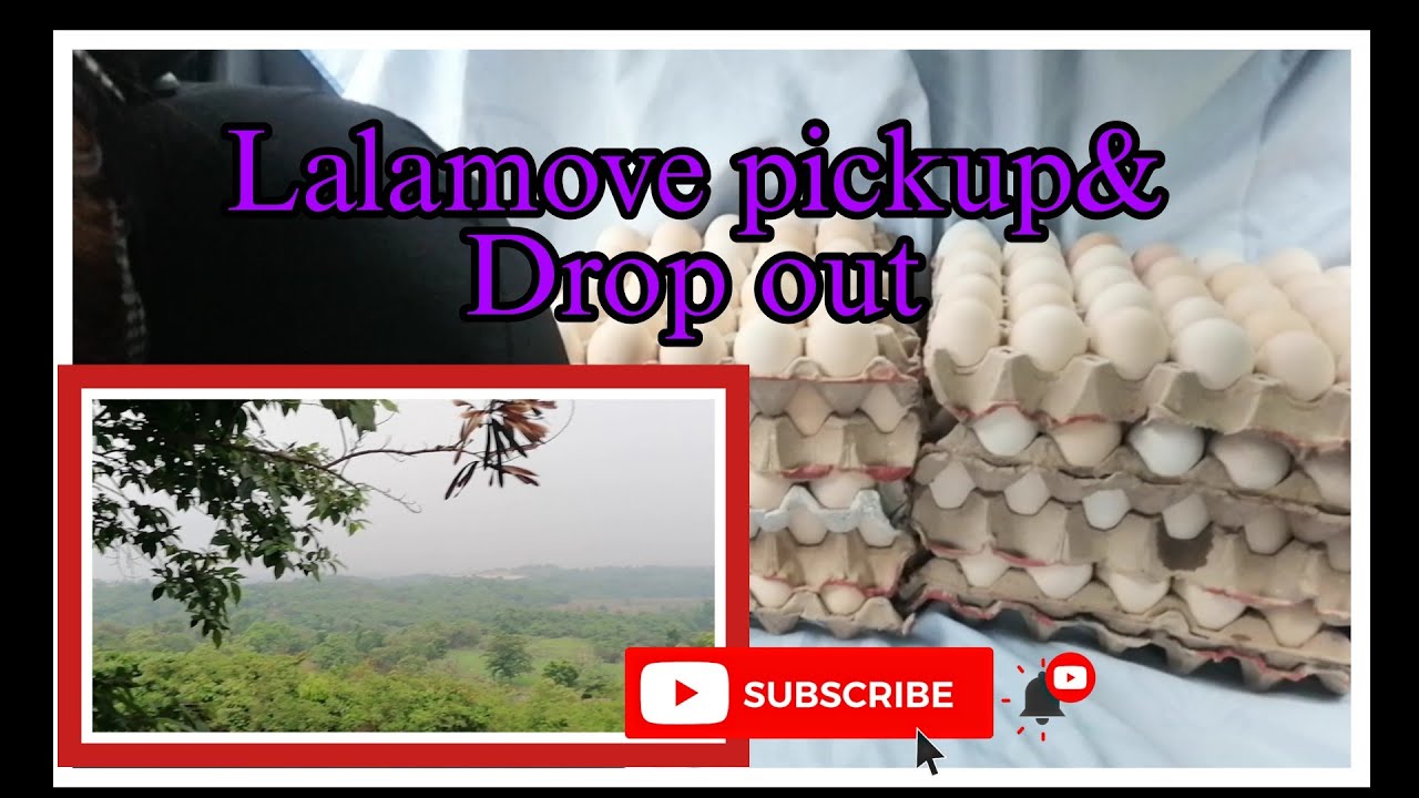 lalamove pick up and drop off.. (lugi 🙄) #pangyawalexavlog #lalamove # ...