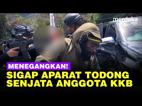 Detik-detik Tegang Satgas Cartenz Todong Senjata Sikat Anggota KKB Konara Enumbi di Puncak Jaya