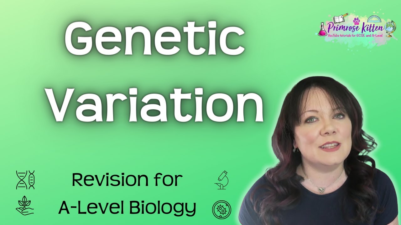 Genetic Variation | Revision for Biology A-Level - YouTube