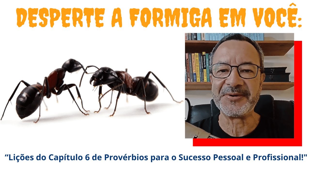 "Lições do Capítulo 6 de Provérbios para o Sucesso Pessoal e ...