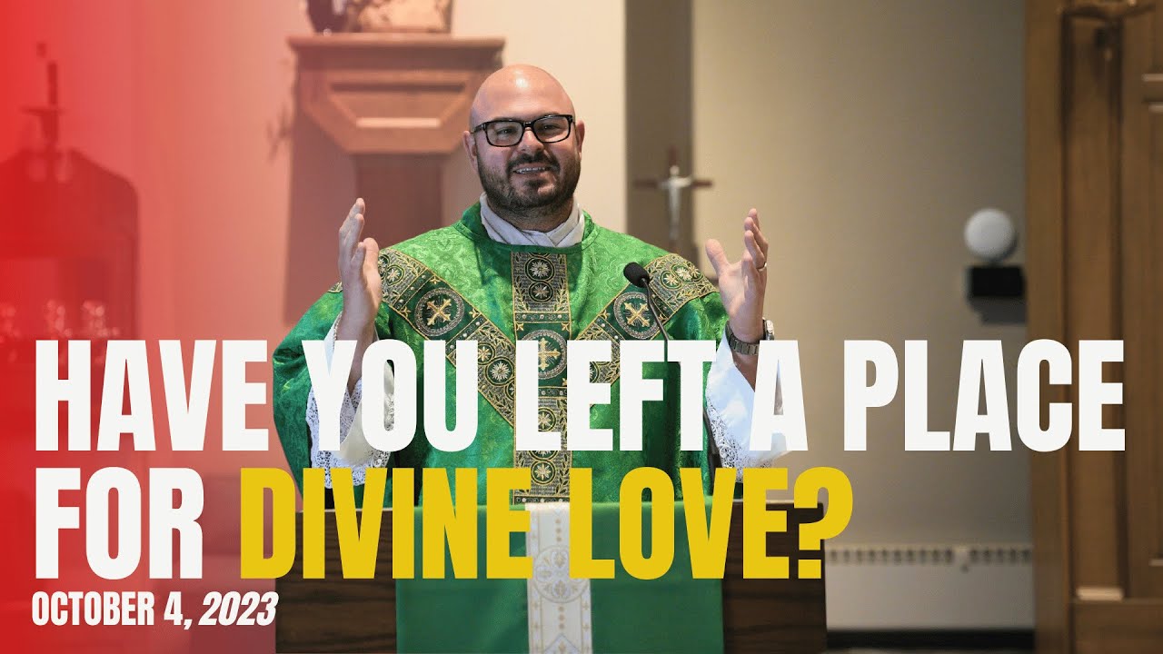 The Christification of Our Own Humanity - Fr. Patrick Schultz - YouTube