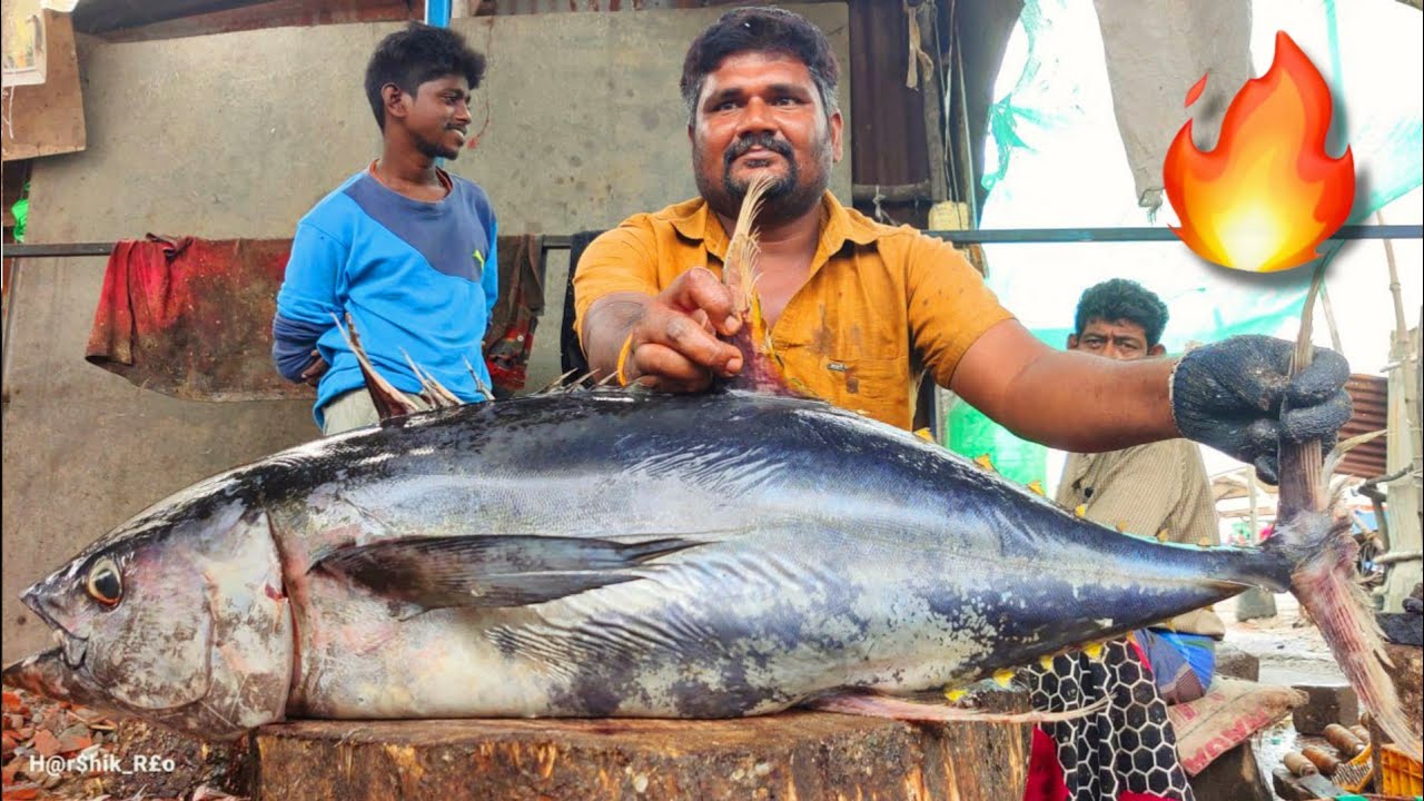 $78 68kg🔥MONSTER TUNA FISH CUTTING | KASIMEDU SELVAM FISH CUTTING ...