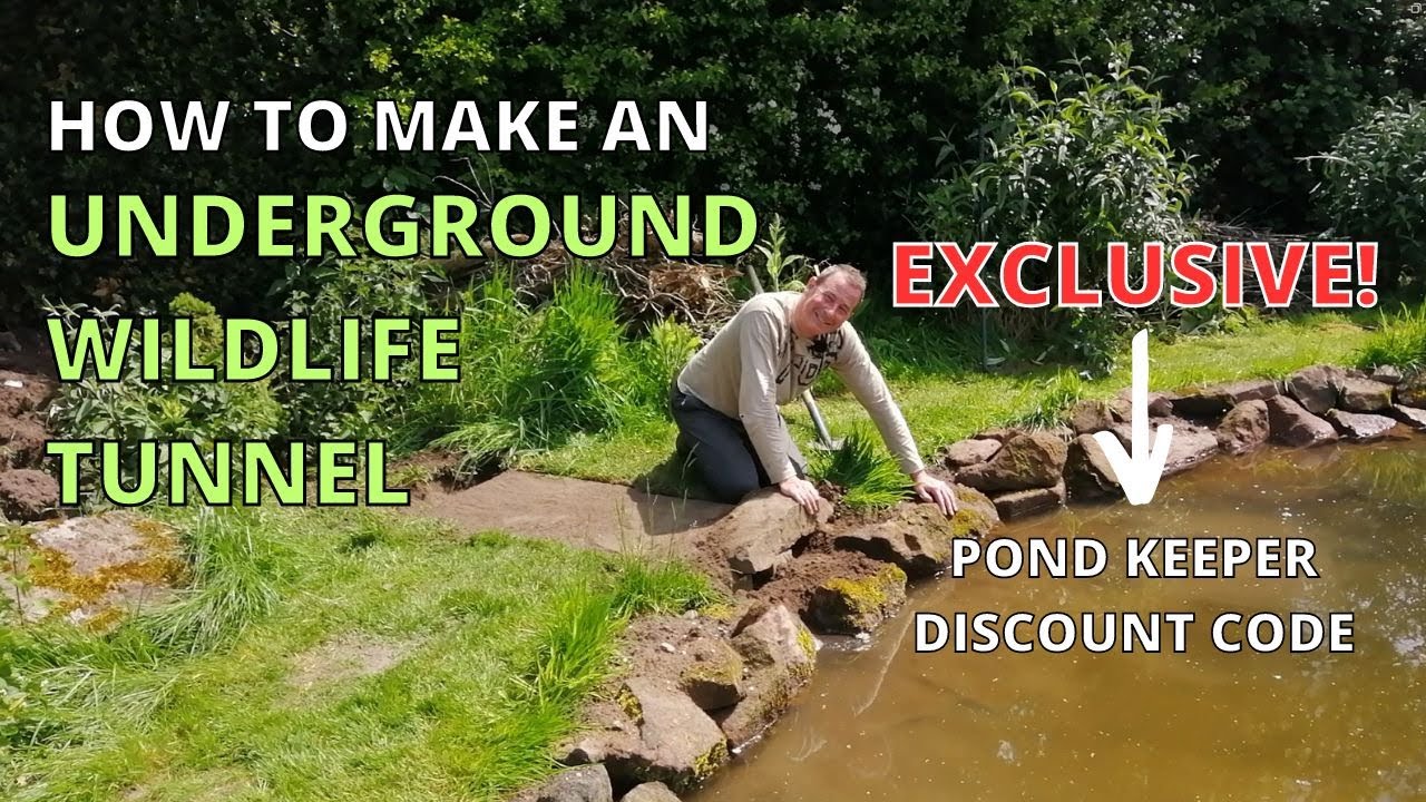 Wildlife Pond UNDERGROUND WILDLIFE HIGHWAY - YouTube