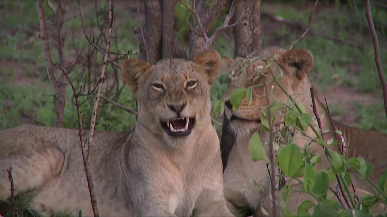 50|50 Season 9 Episode 2 | Promo - YouTube