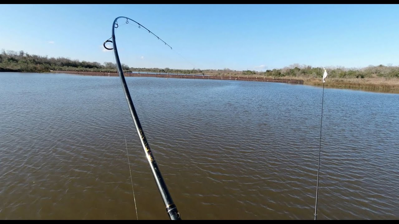 Hunting Gar in Salt Bayou - The Next Episode! - YouTube