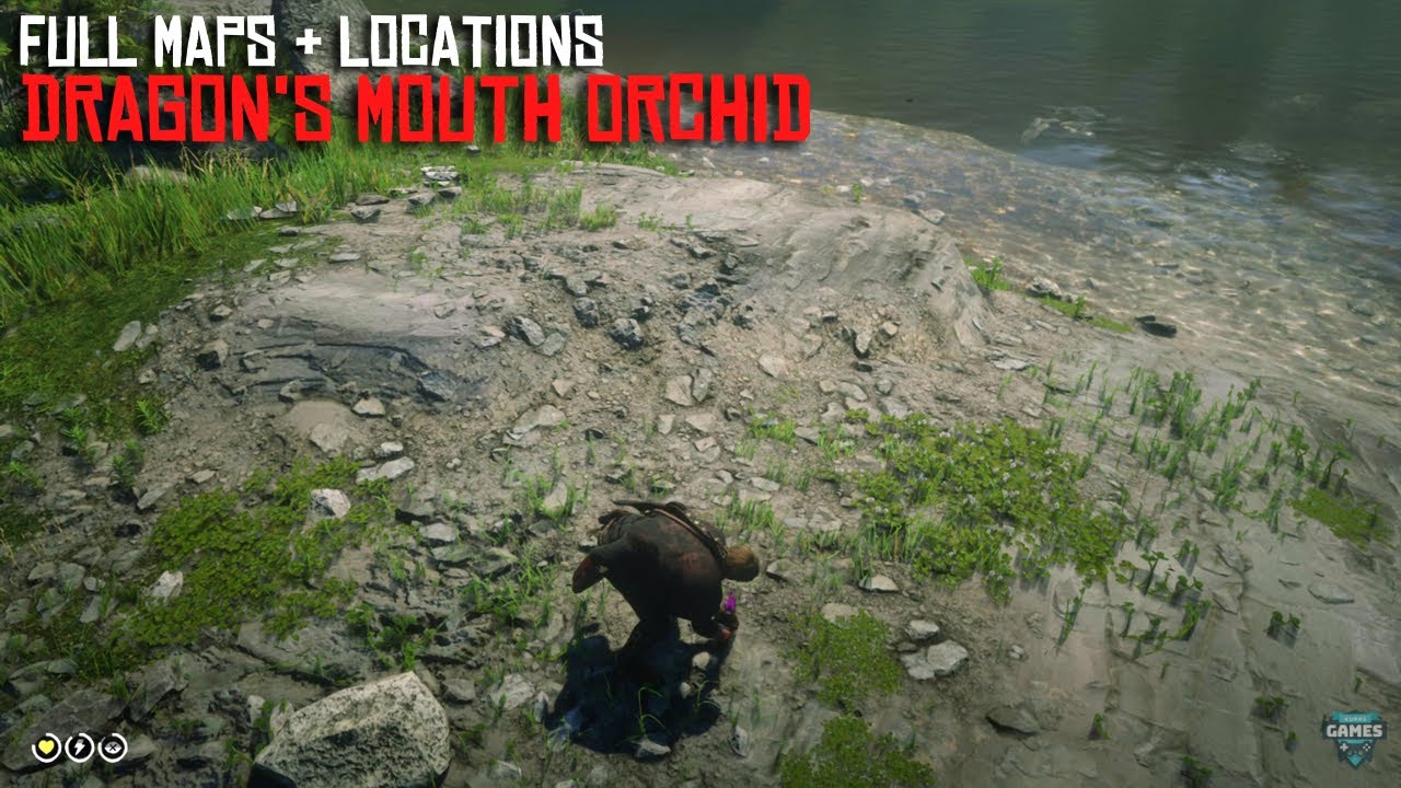Red Dead Redemption 2 - ALL 5 Dragon's Mouth Orchid Locations & Maps ...