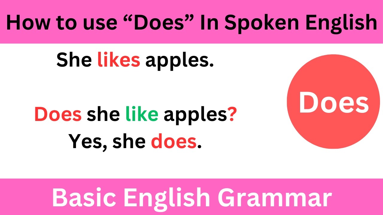 How to Use Does in English Grammar? | Questions and Answers with Does # ...