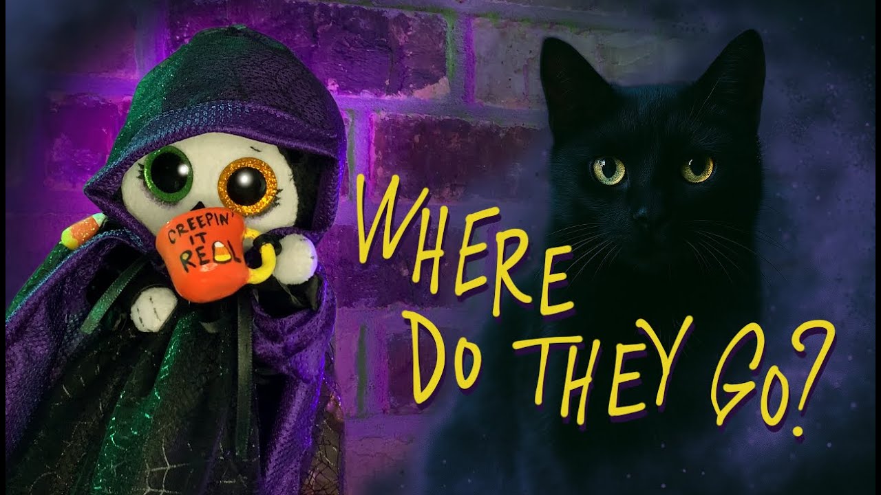 Where do they go? - YouTube