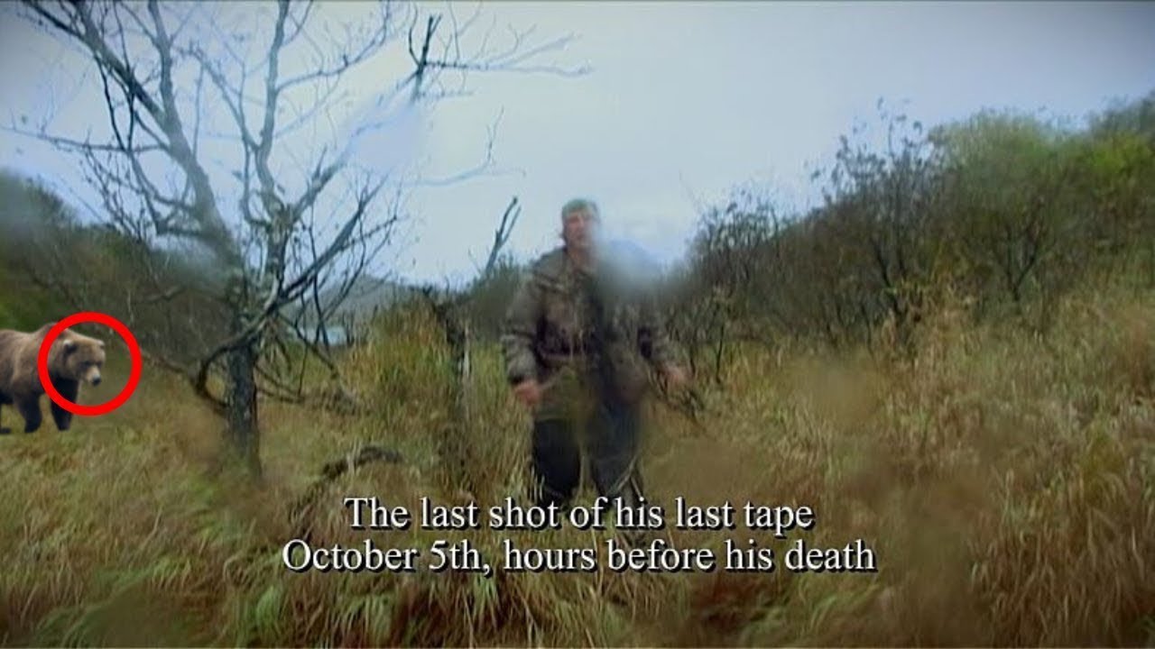The Bizarre Life And Death Of The Grizzly Man Timothy Treadwell Staring ...