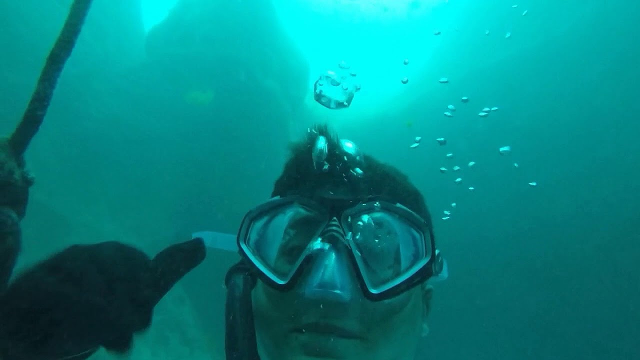 Vortex Springs Freediving - YouTube