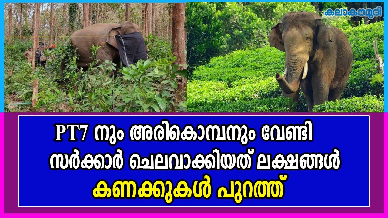 PT7നും അരികൊമ്പനും വേണ്ടി സർക്കാർ ചെലവാക്കിയത് ലക്ഷങ്ങൾ | Arikomban ...
