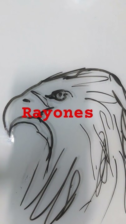 Rayones. #garabatos #art #dibujazos - YouTube