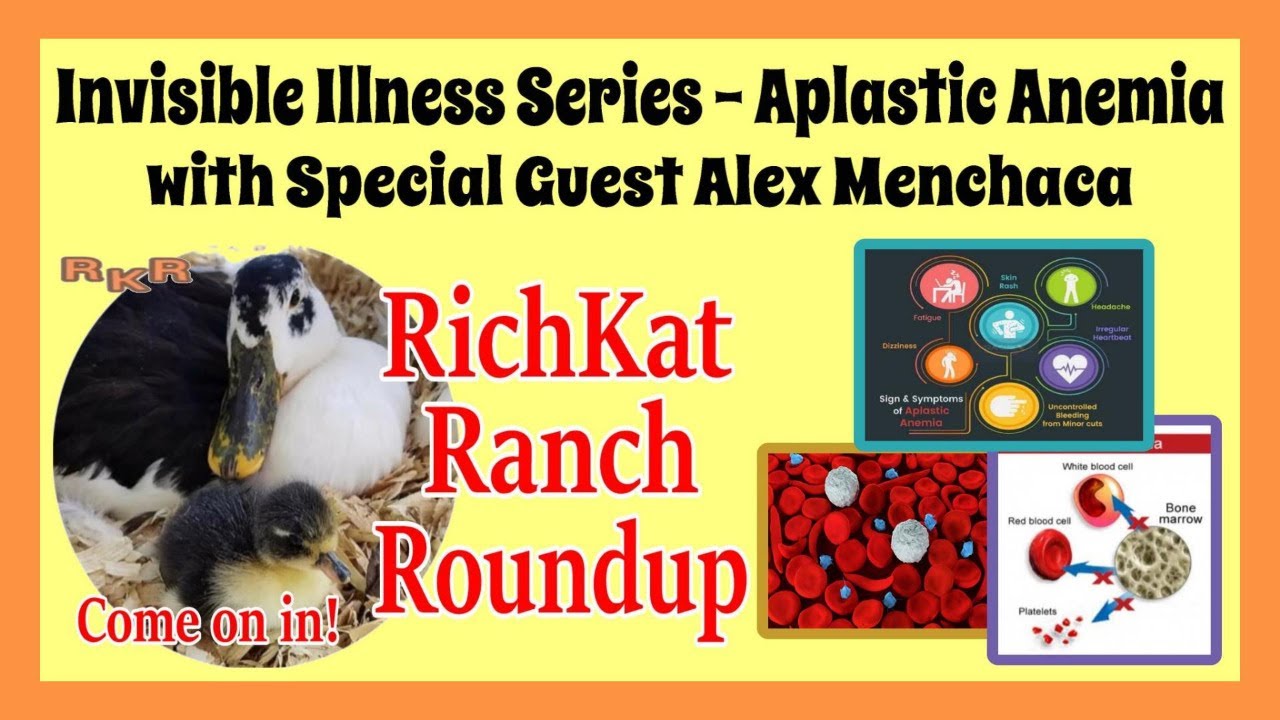 RKR Roundup Ep 051 "Invisible Illness" Series - * Aplastic Anemia ...