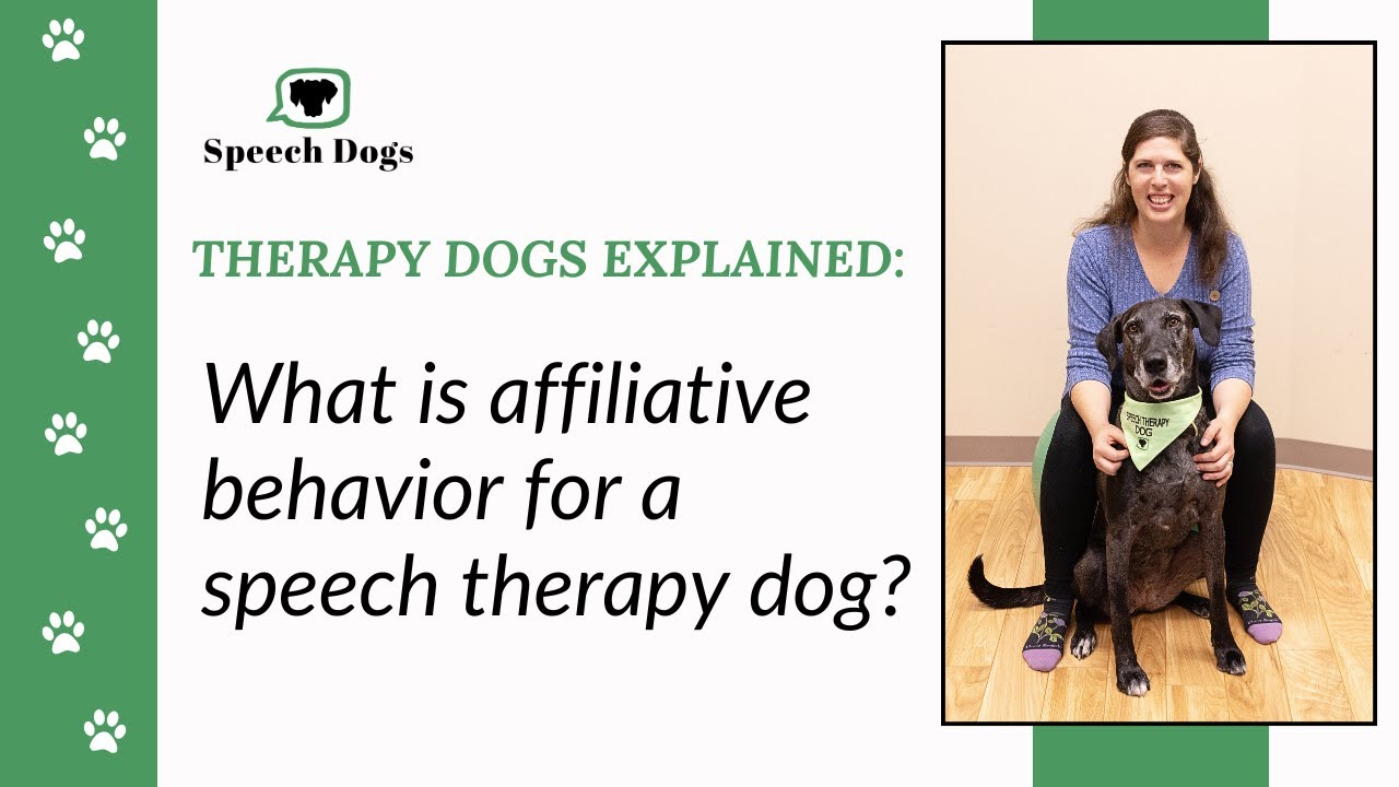 Therapy Dogs Explained--What is Affiliative Behavior? - YouTube