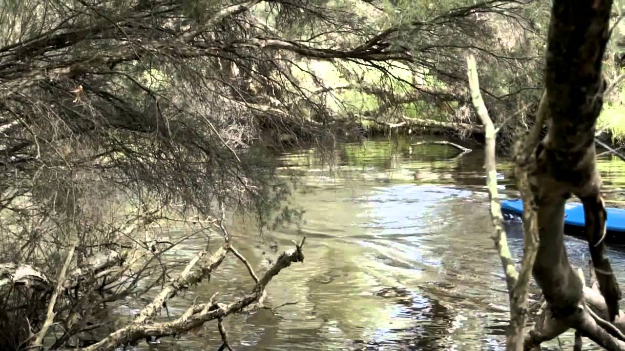2013 Drain Race - WA Downriver Kayak Race - YouTube