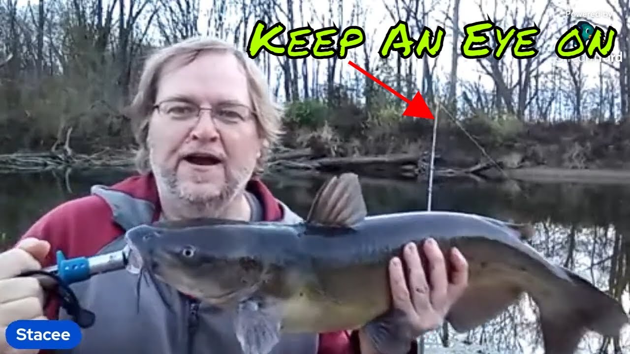 Finally Getting on the Late Fall Catfish Bite 🎣 - YouTube