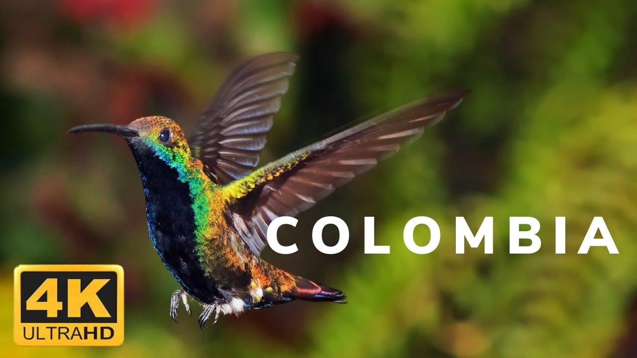 Travel Colombia 4k UHD HDR- Bogota, Medellin,Cartagena Tourist spot Of ...