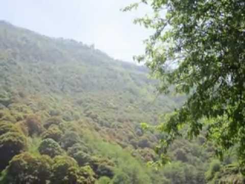 Nepal bajhang - YouTube