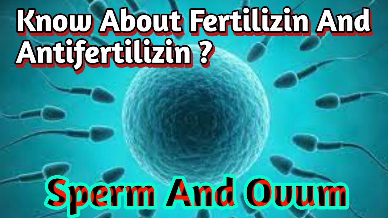 Fertilizin And Antifertilizin With Very Easy Tricks//CSIR NET,NEET,TGT ...