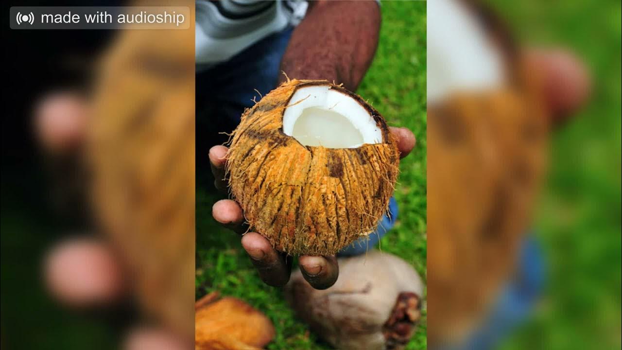 Bossla - Glo Coco [ Riddim By Ben bel Miro ] 2024 - YouTube