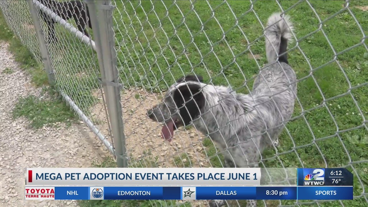 Get a family member at the first ever SW Indiana MEGA Adoption Event ...