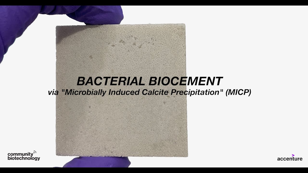 Biocement MICP - YouTube