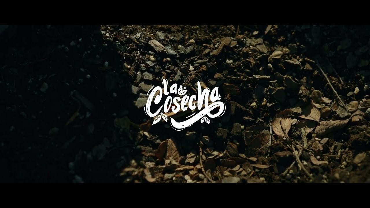 WFF Film Festival Best Cinematography Winner: La Cosecha Trailer - YouTube