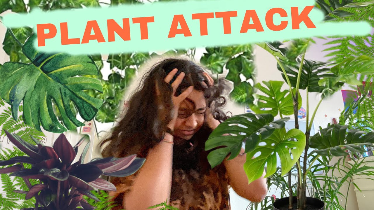 plant attack to deforestation - YouTube