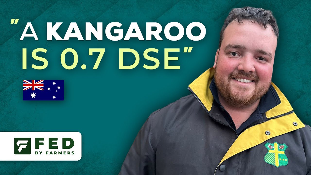 Lachlan Harding - An Aussie Farmer - YouTube