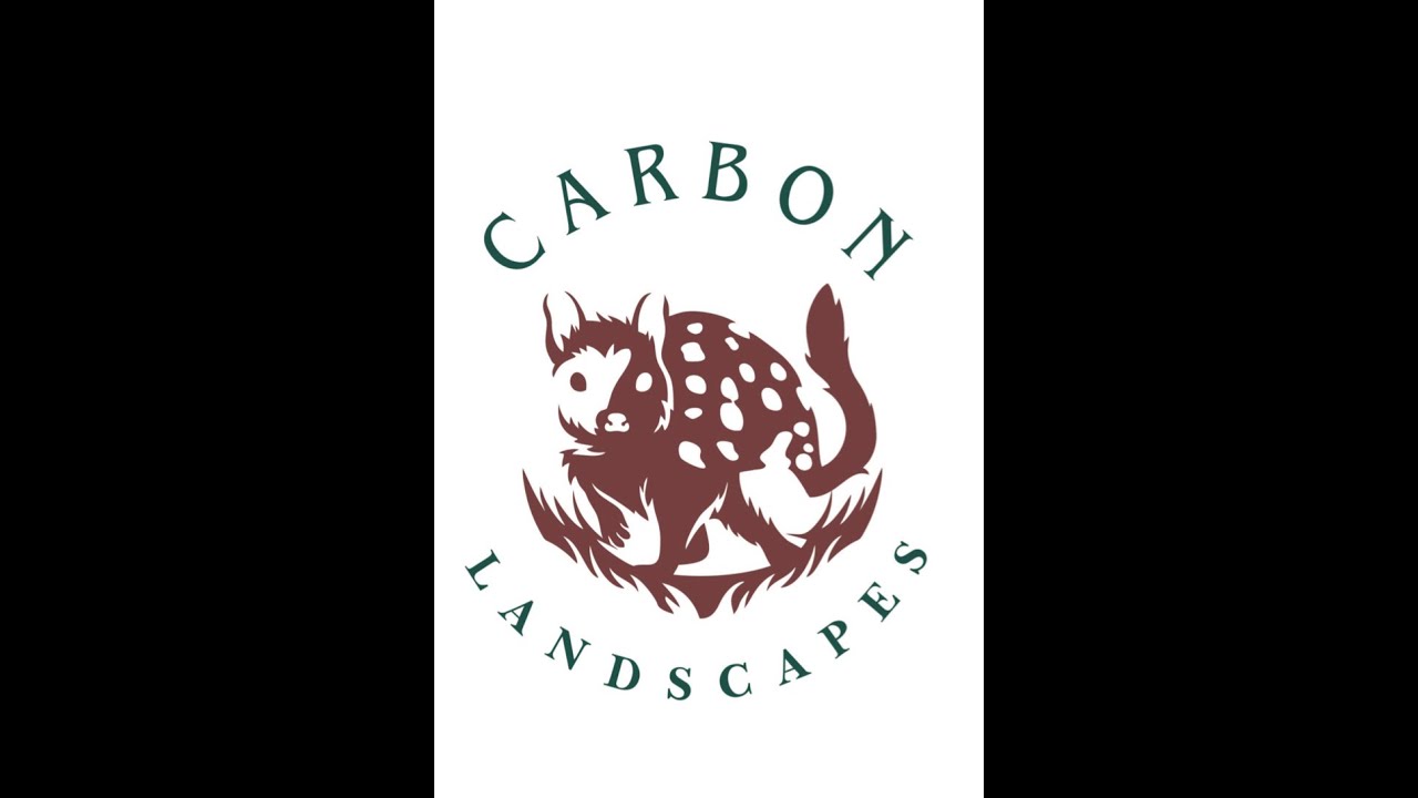 How not to Greenwash or Impact Wash - YouTube