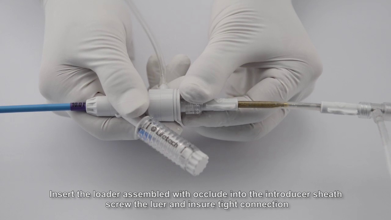Lifetech Fustar Steerable Sheath - YouTube