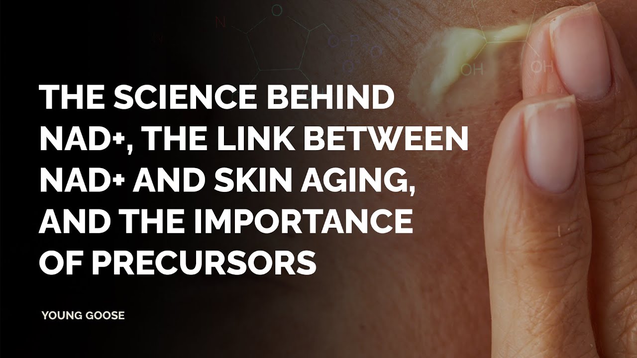 The Science Behind NAD+, the Link Between NAD+ and Skin Aging, and the ...