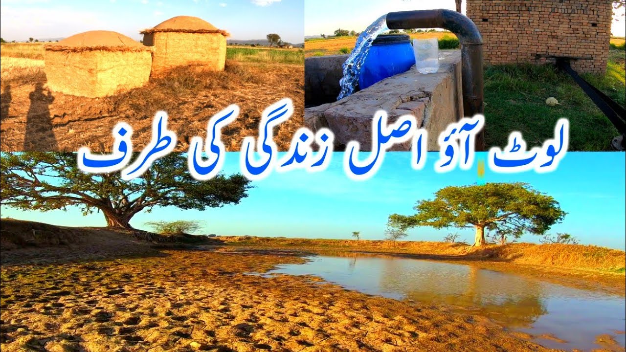 Chakwal village beutifull culture , chakwal, village life, punjab ...