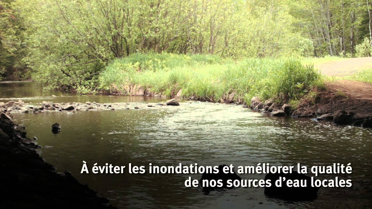 RBC Blue Water Makeover 2015- Moncton - YouTube