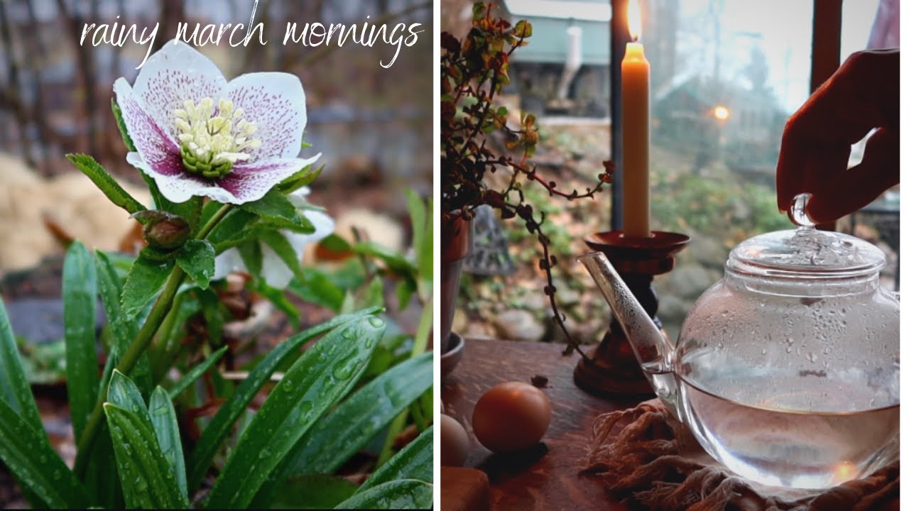 Slow Living | Rainy March Mornings - YouTube