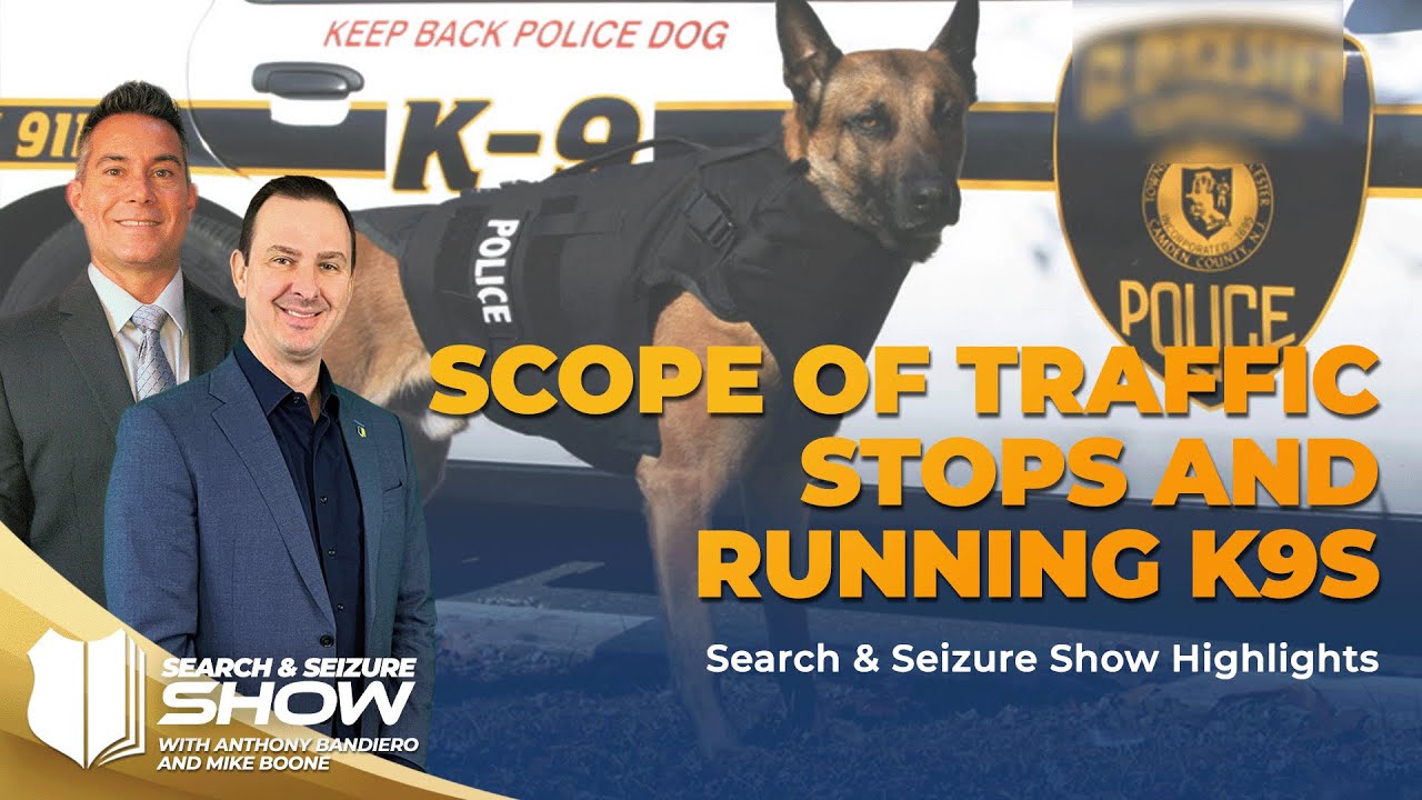 Ep#451 Scope of Traffic Stops and Running K9’s - YouTube